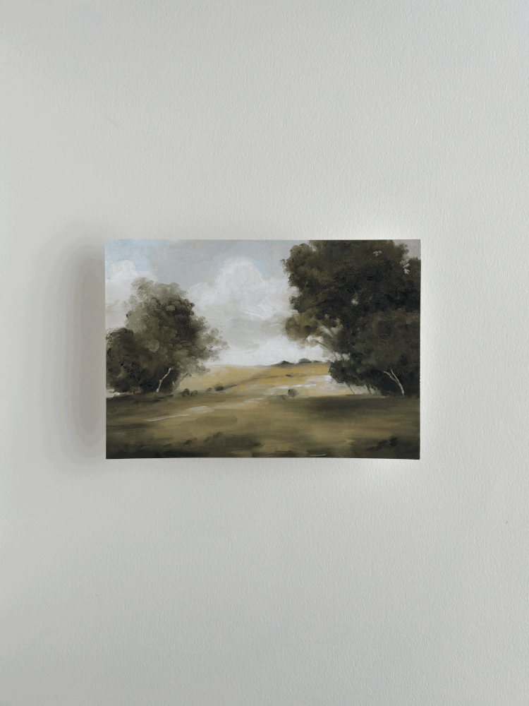 Shop — Emily Davis Collection