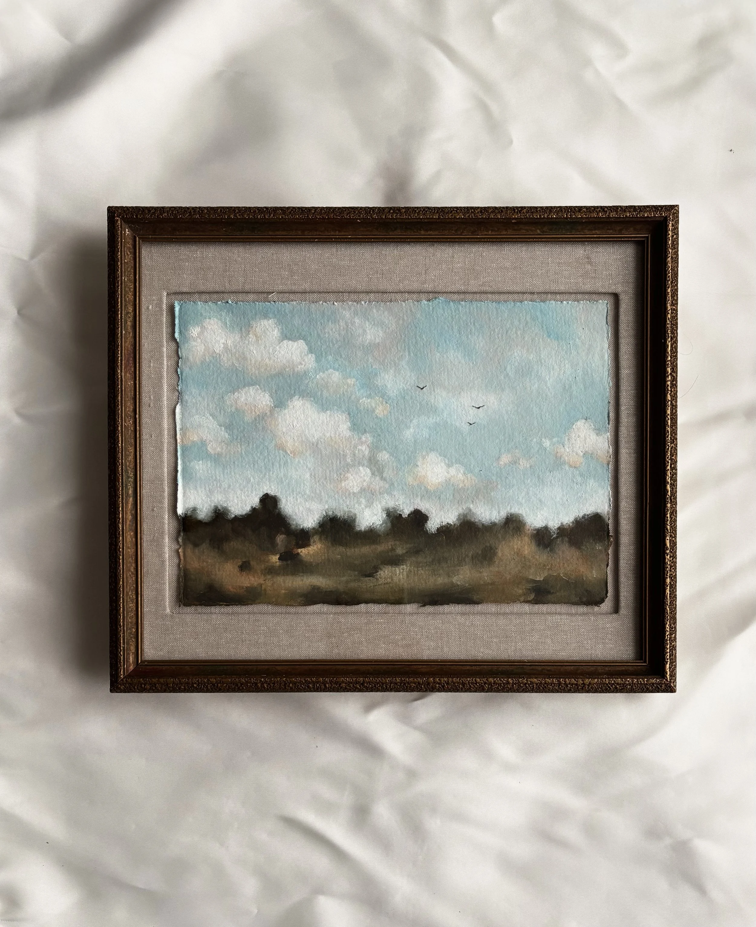 Shop — Emily Davis Collection