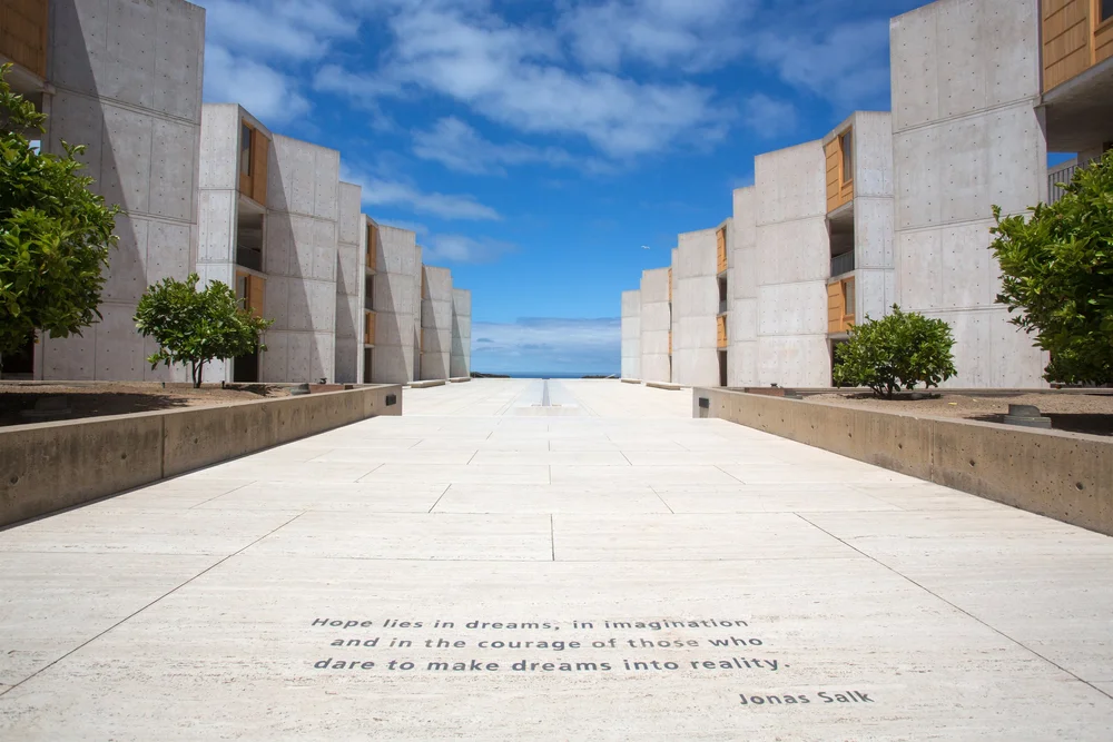Salk