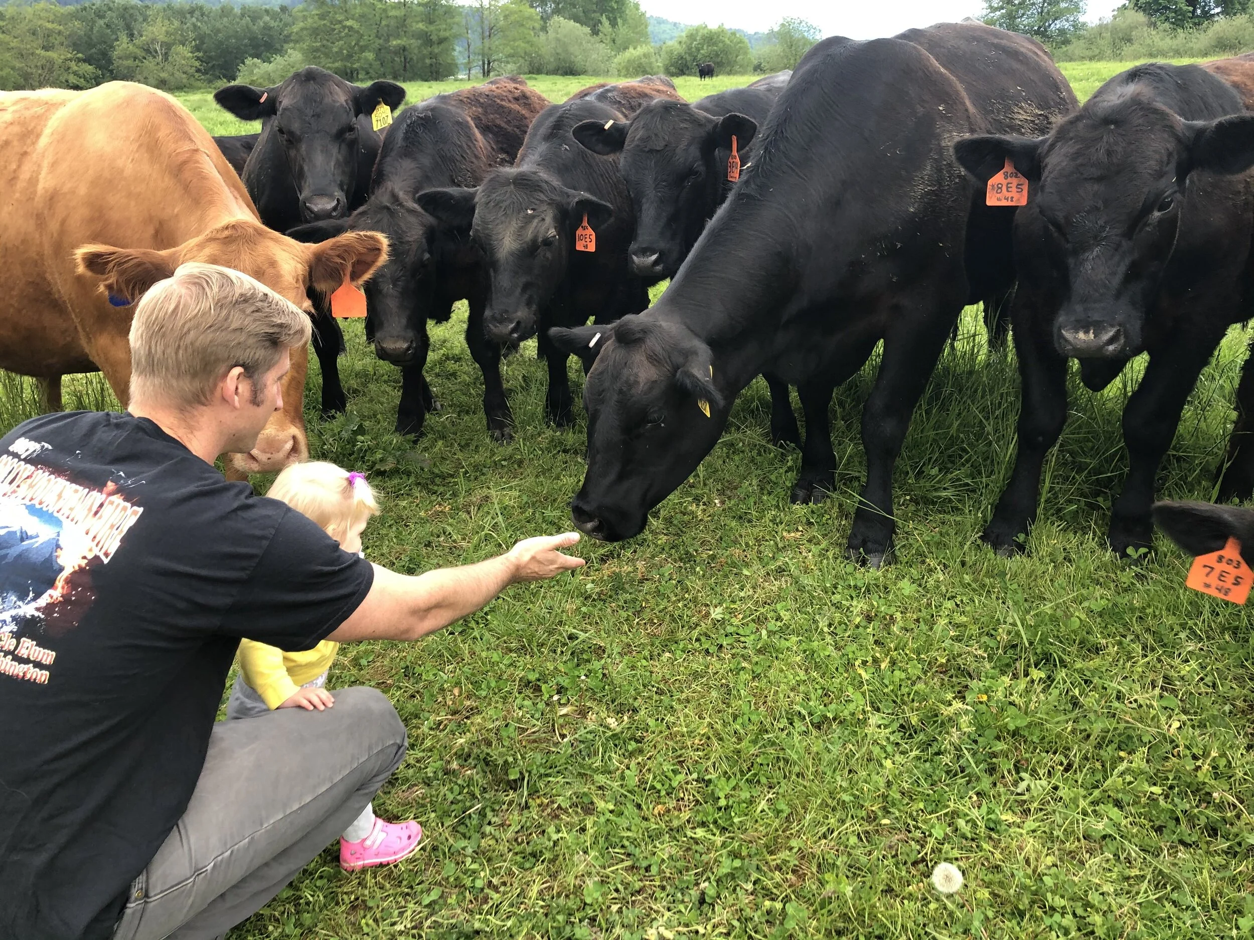 Stillwater Ranch | Locally Raised Beef