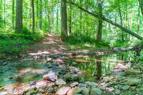 Upper Paint Branch Stream Valley Park Trails — Equestrian Partners in ...