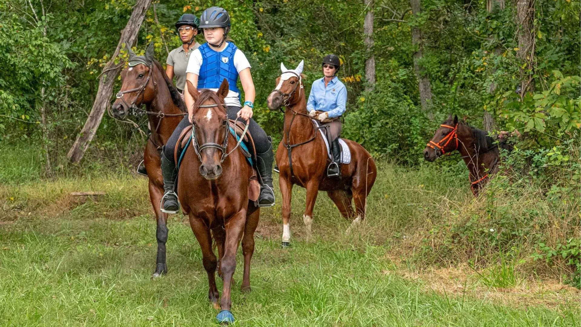 Dry Seneca Trail — Equestrian Partners in Conservation (EPIC) | Nonprofit Preserving Equestrian ...