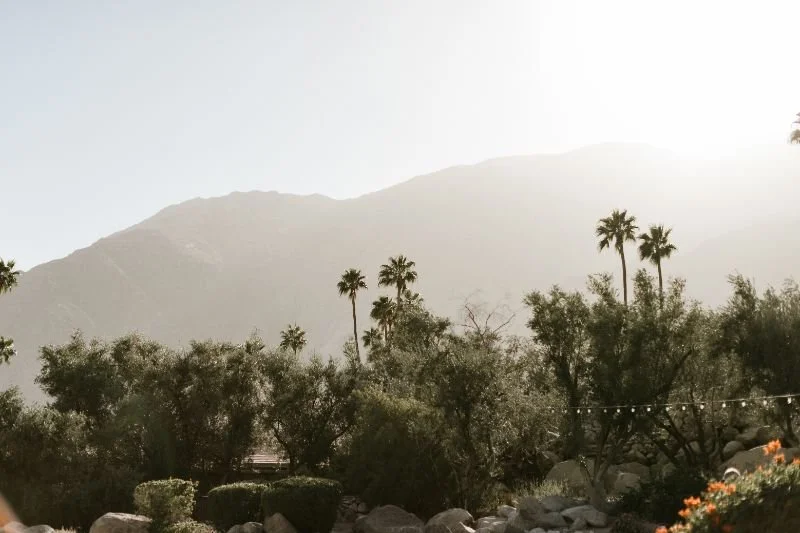Elegant & Modern Wedding at Frederick Loewe Estate in Palm Springs — MIHO