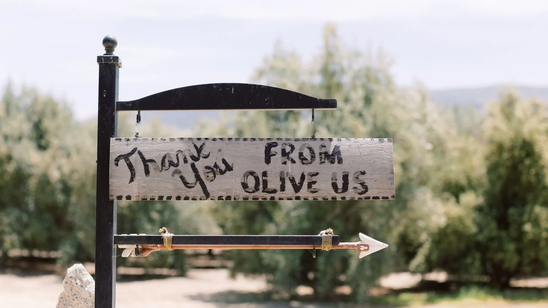 OLIVE VIEW RANCH | Temecula Wedding + Private Event Venue — MIHO