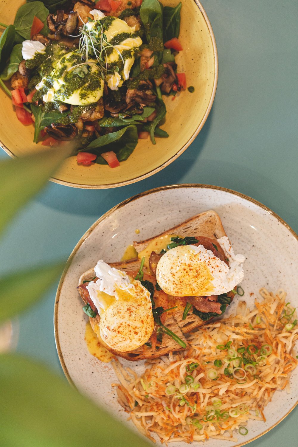 Gallery | Morning Brunch Co. — mbc