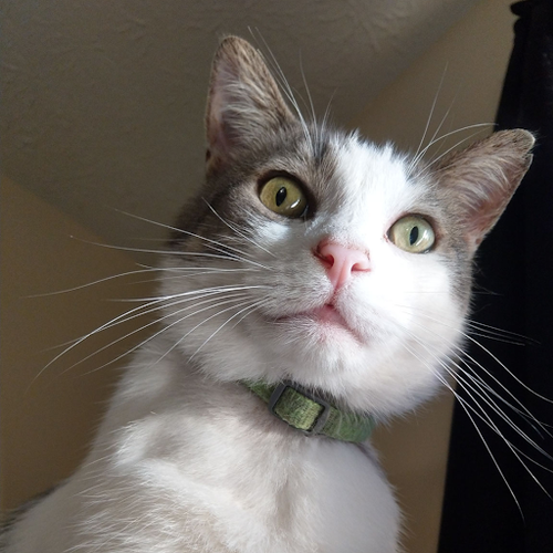 🏆 Success Stories — For The Love Of Alex Inc