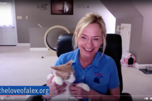 For The Love Of Alex Inc - Emergency vet care for pets in need