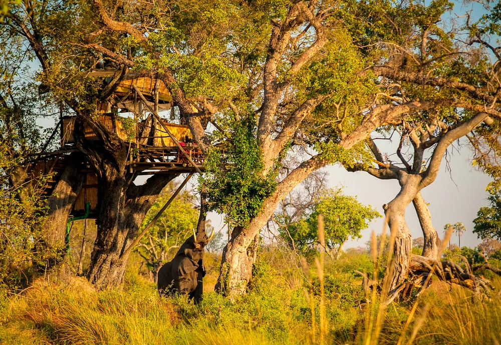 Lodges of Botswana
