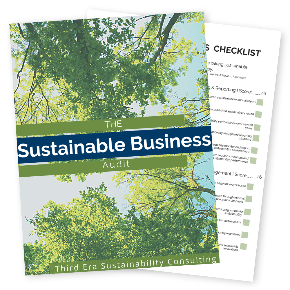 FREE Sustainability Audit — Third Era Sustainability Consulting