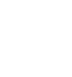 Duurzame Bloemencreaties - Jolly Jenny