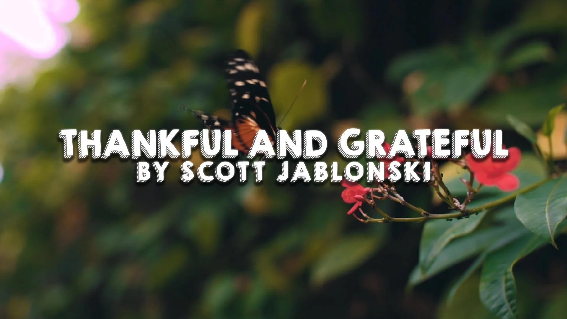 Scott Jablonski