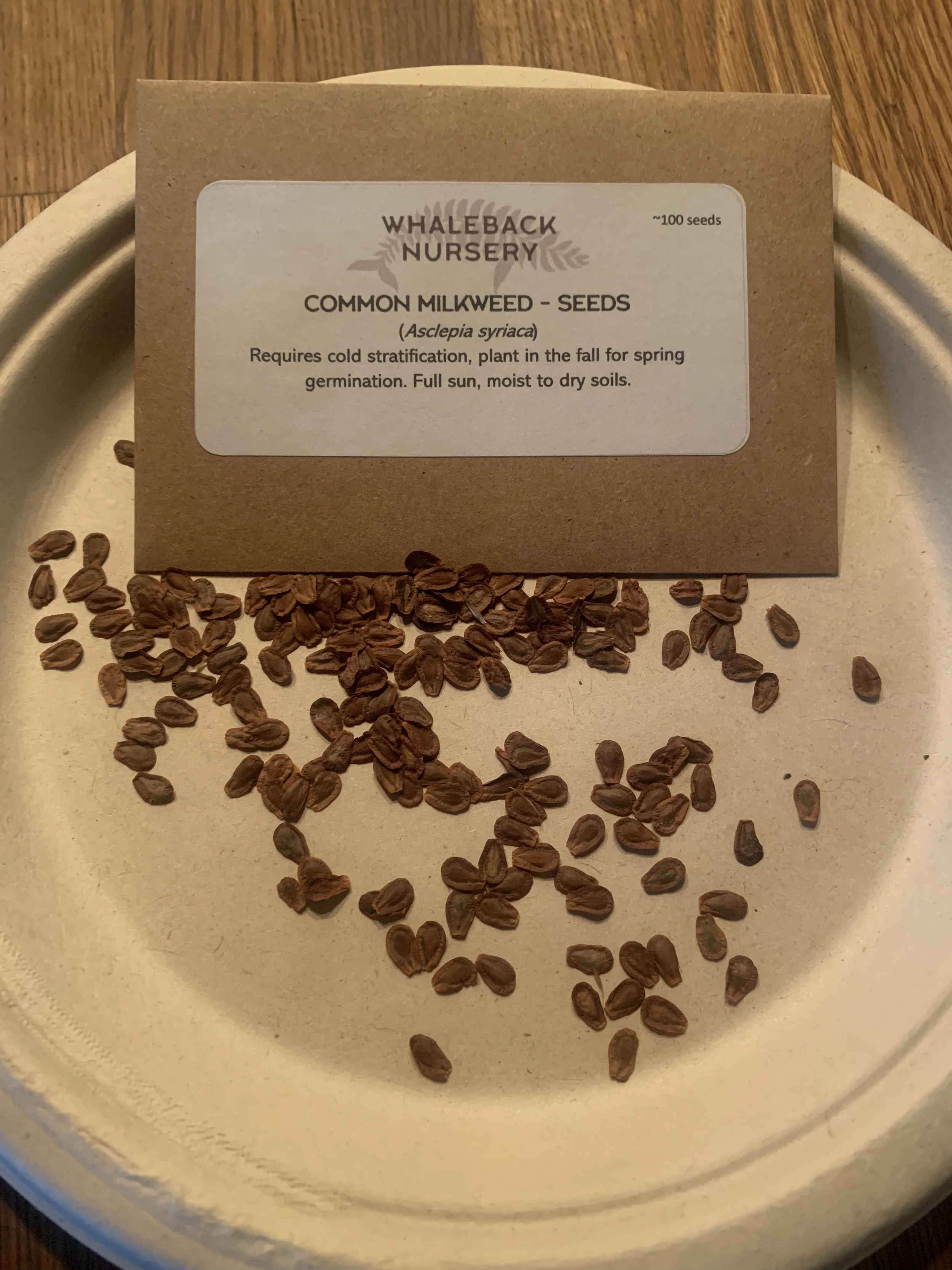 Shop Nursery Plants — Whaleback Nursery