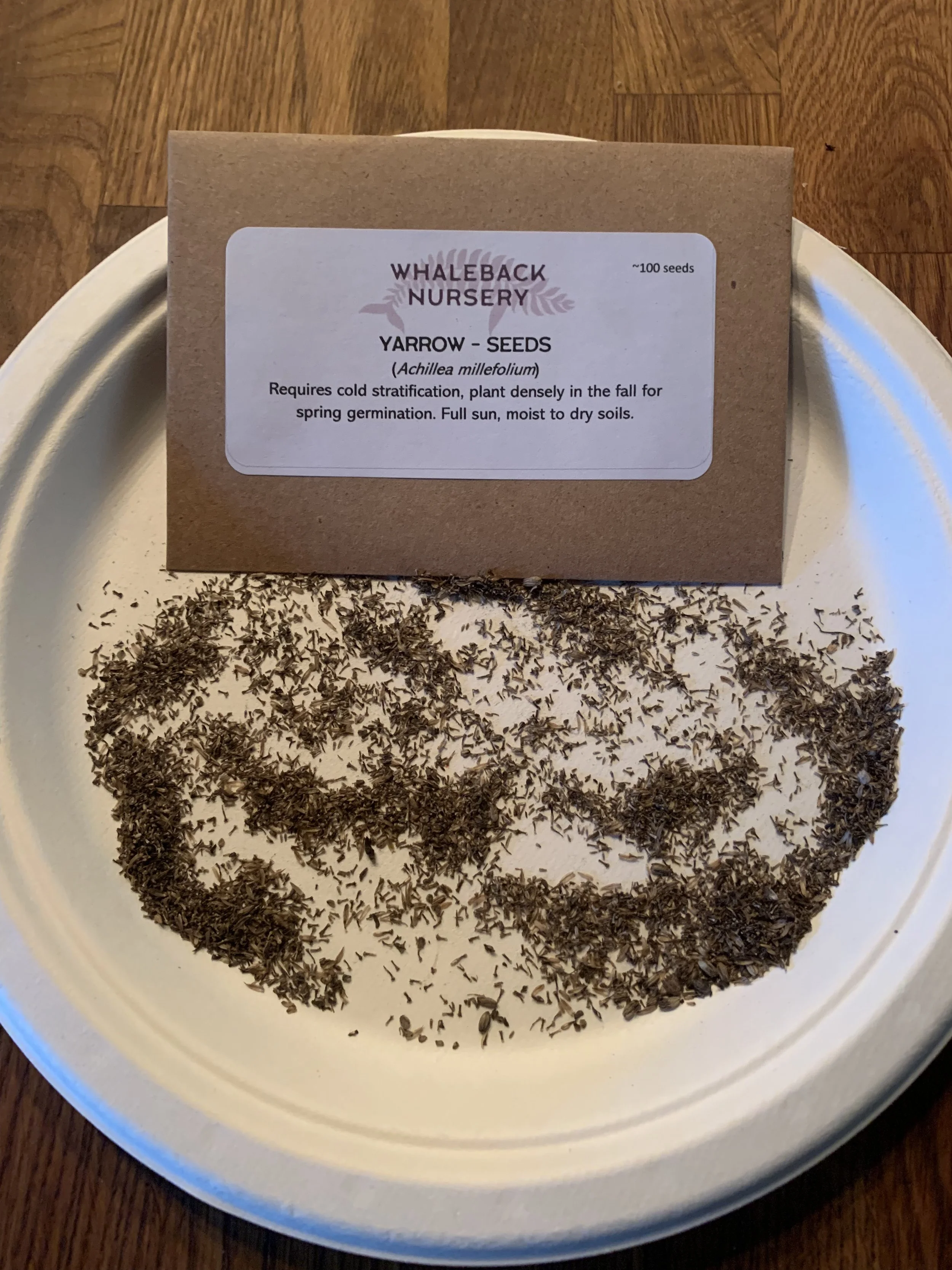 Shop Nursery Plants — Whaleback Nursery