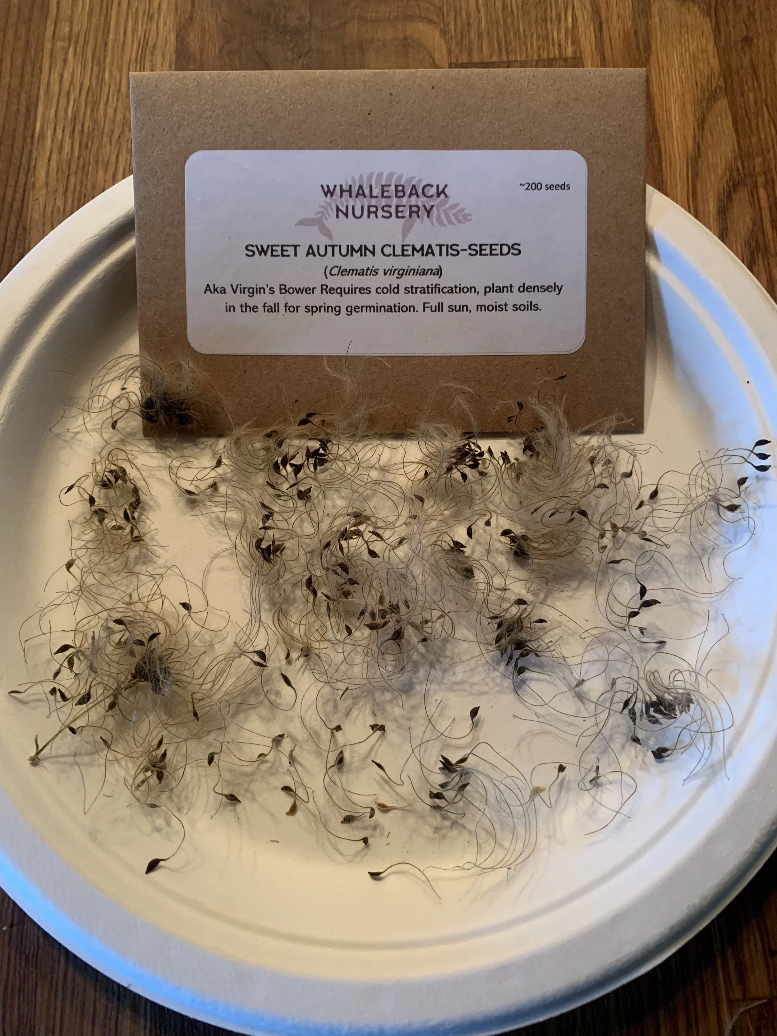 Shop Nursery Plants — Whaleback Nursery