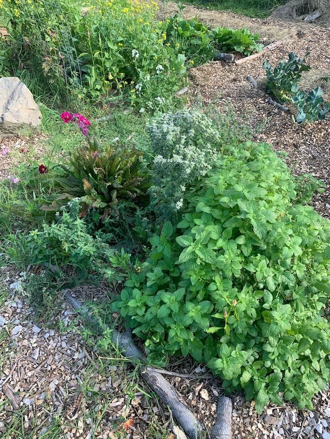 Services- Consultations, Landscape Design, Sourcing, Installation ...