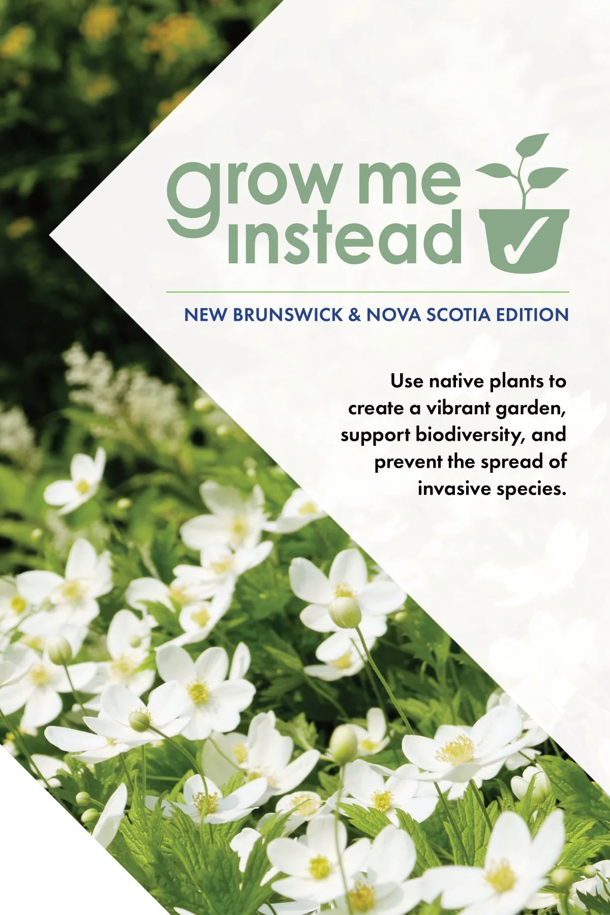 Plant Wise — New Brunswick Invasive Species Council