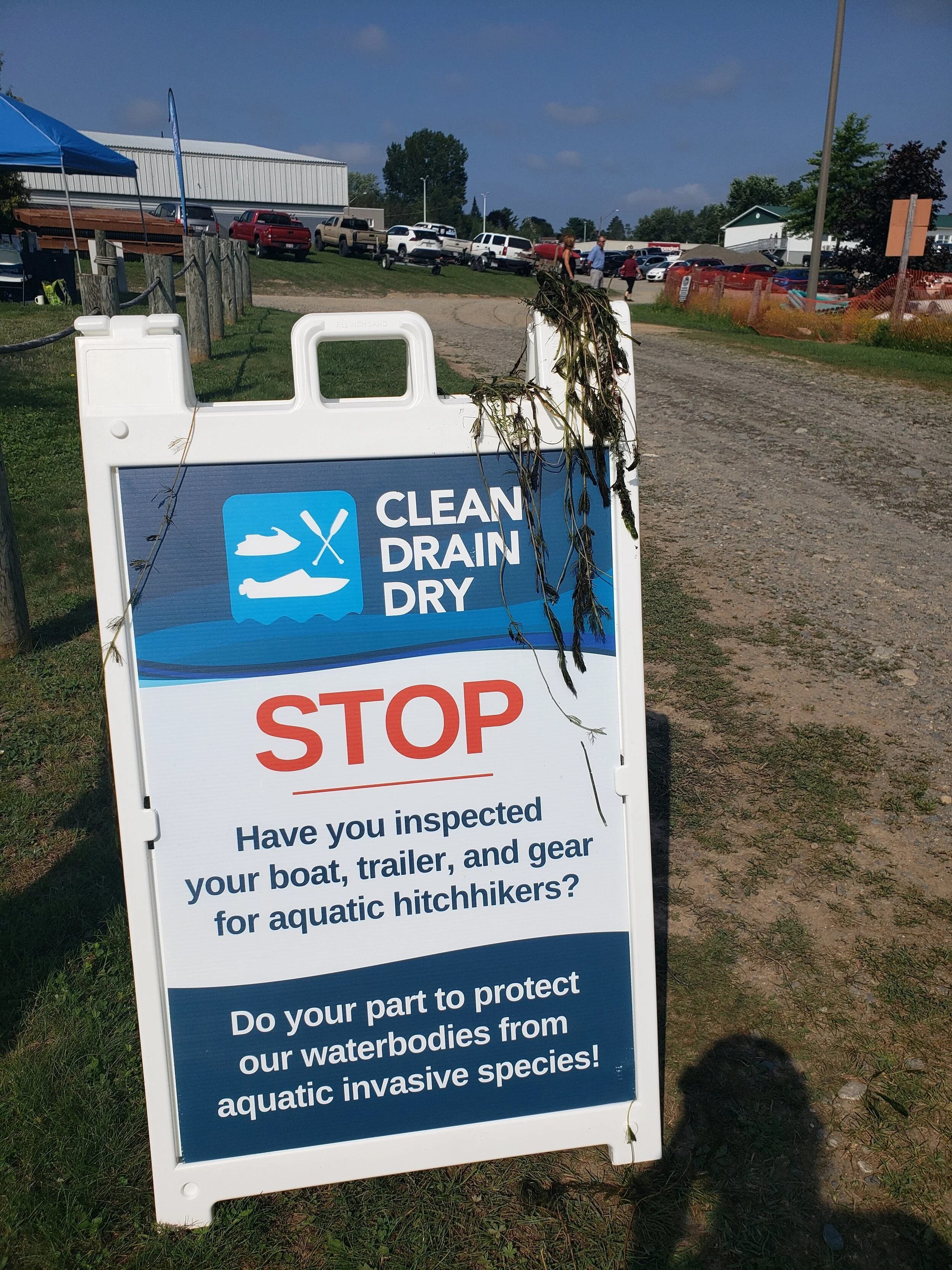 New Brunswick Invasive Species Council