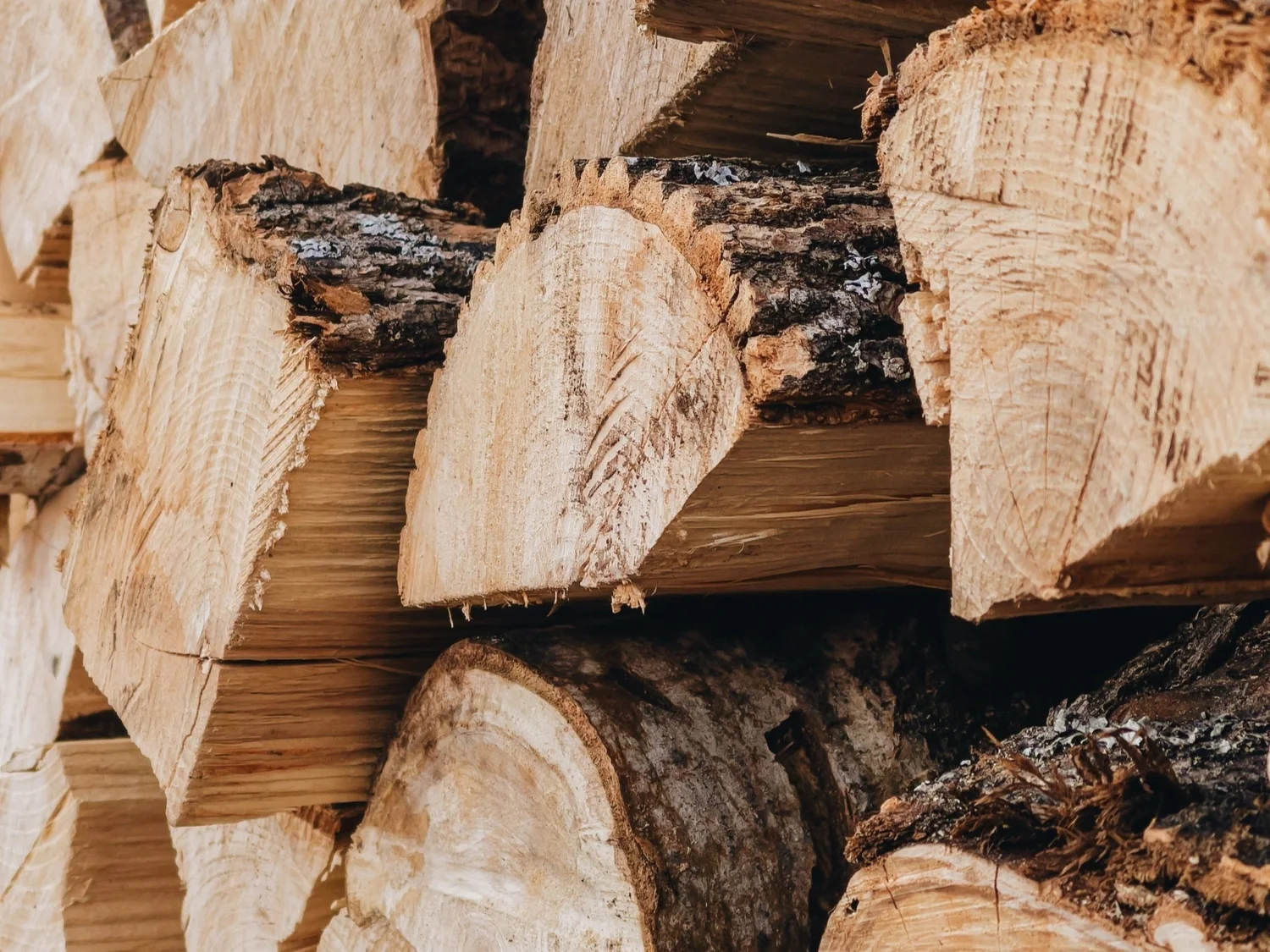 Emerald Ash Borer — New Brunswick Invasive Species Council