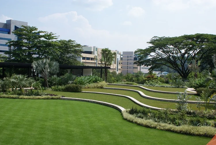 HortLawn Hortpark: What to Do & See — Vineyard at HortPark
