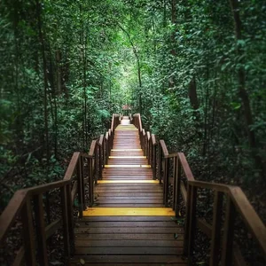 11 Best Nature Walk Spots Singapore — Vineyard at HortPark
