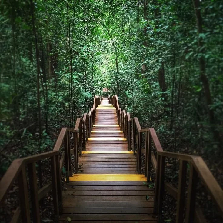 11 Best Nature Walk Spots Singapore — Vineyard at HortPark