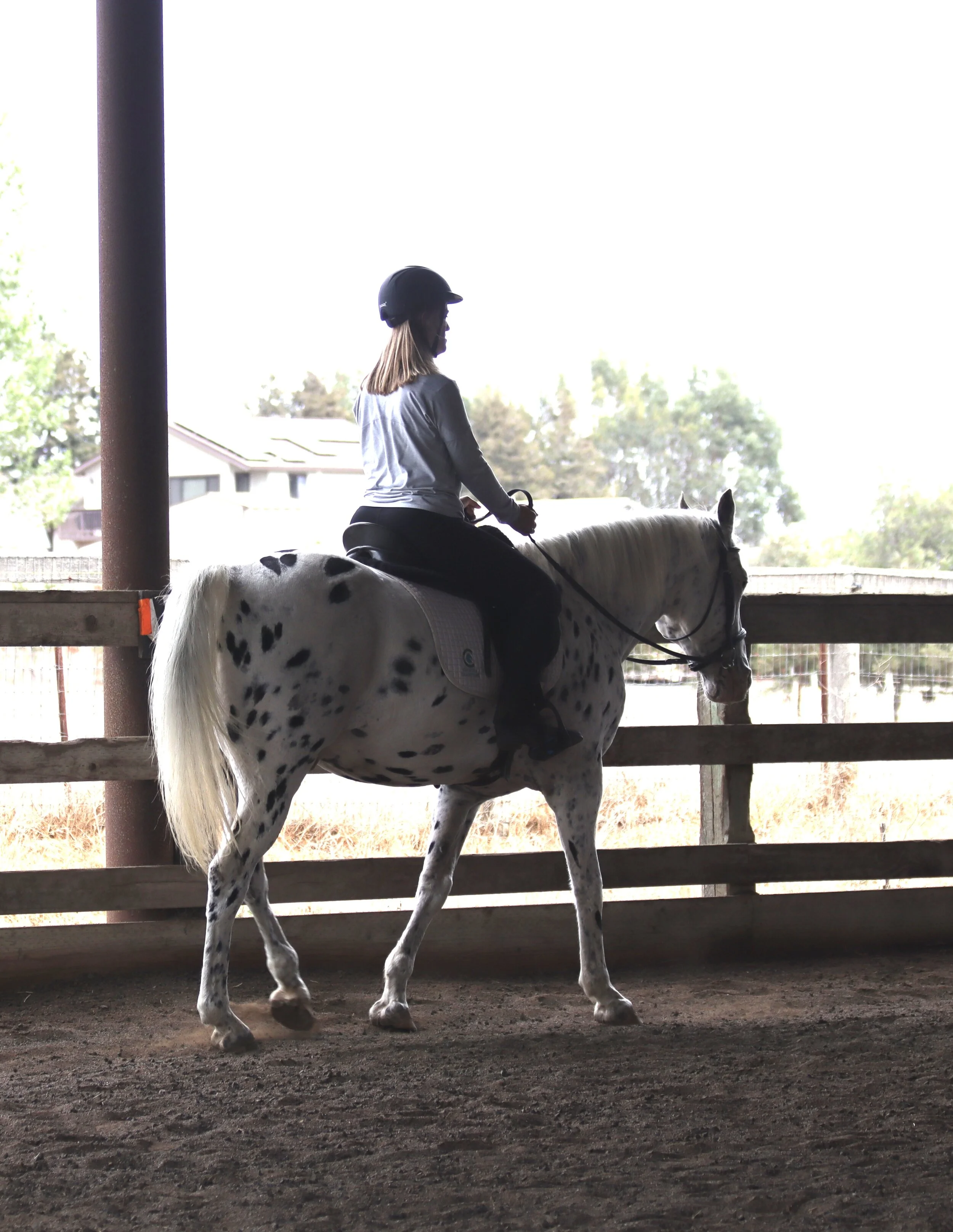 Training & Lessons — H² - Harper Horsemanship