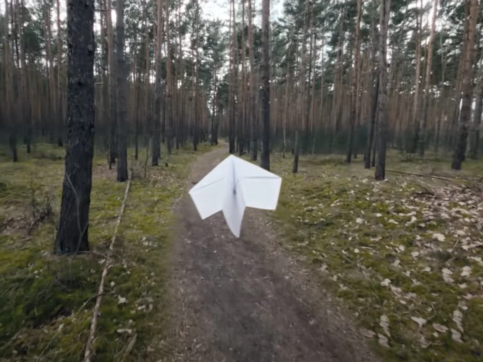 Adam Ulanicki: The soothing singer delivers a direct message with ...