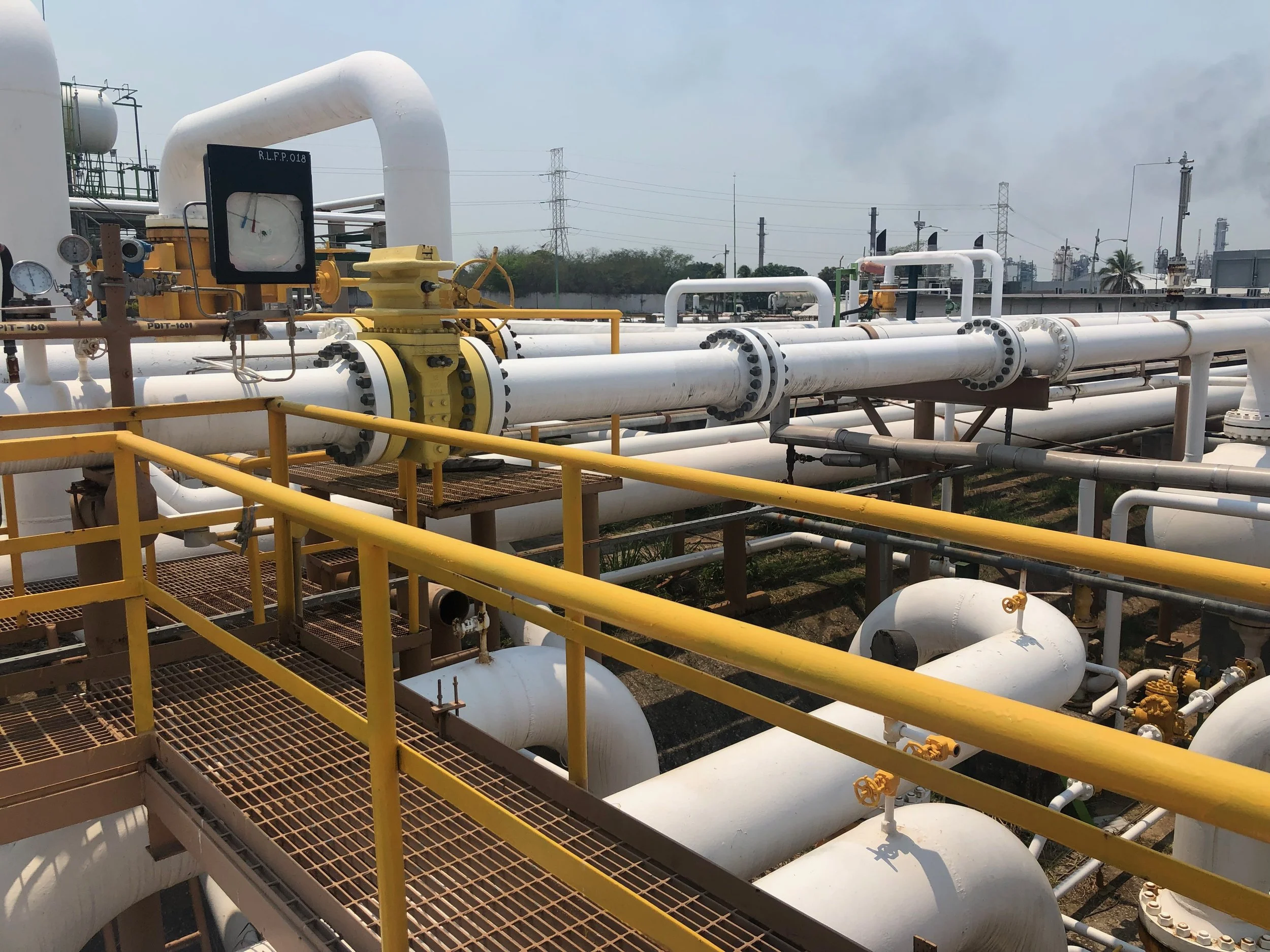 BEAM — DIGAMMA de México