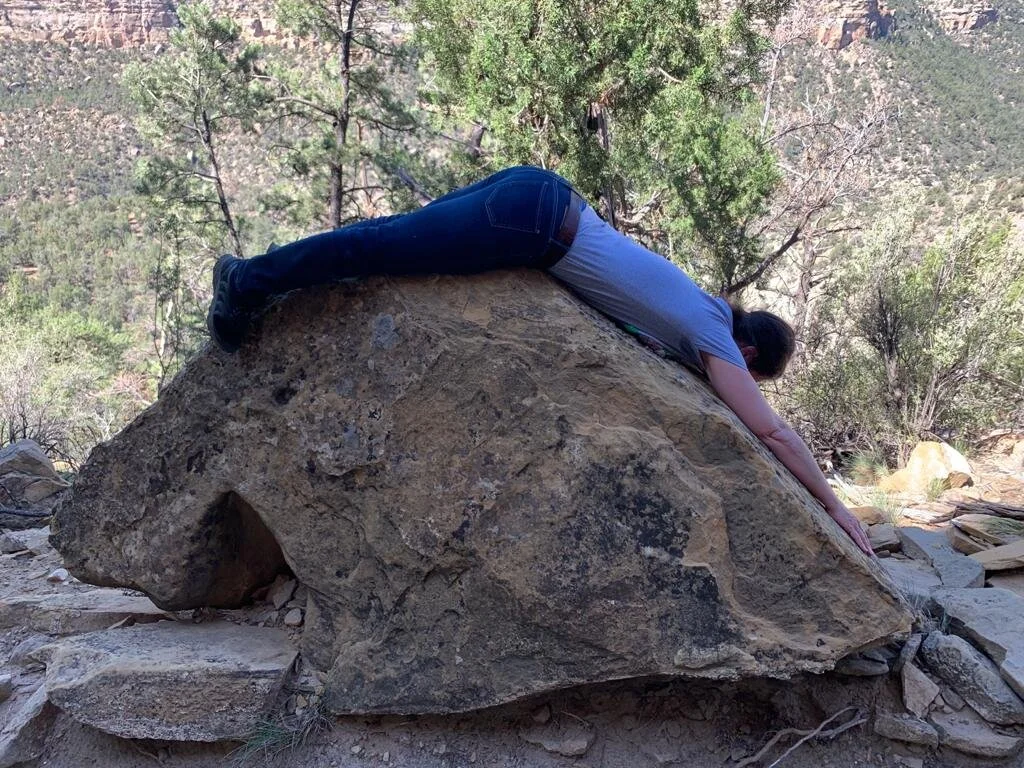 Back Care & Scoliosis — California Yoga Center