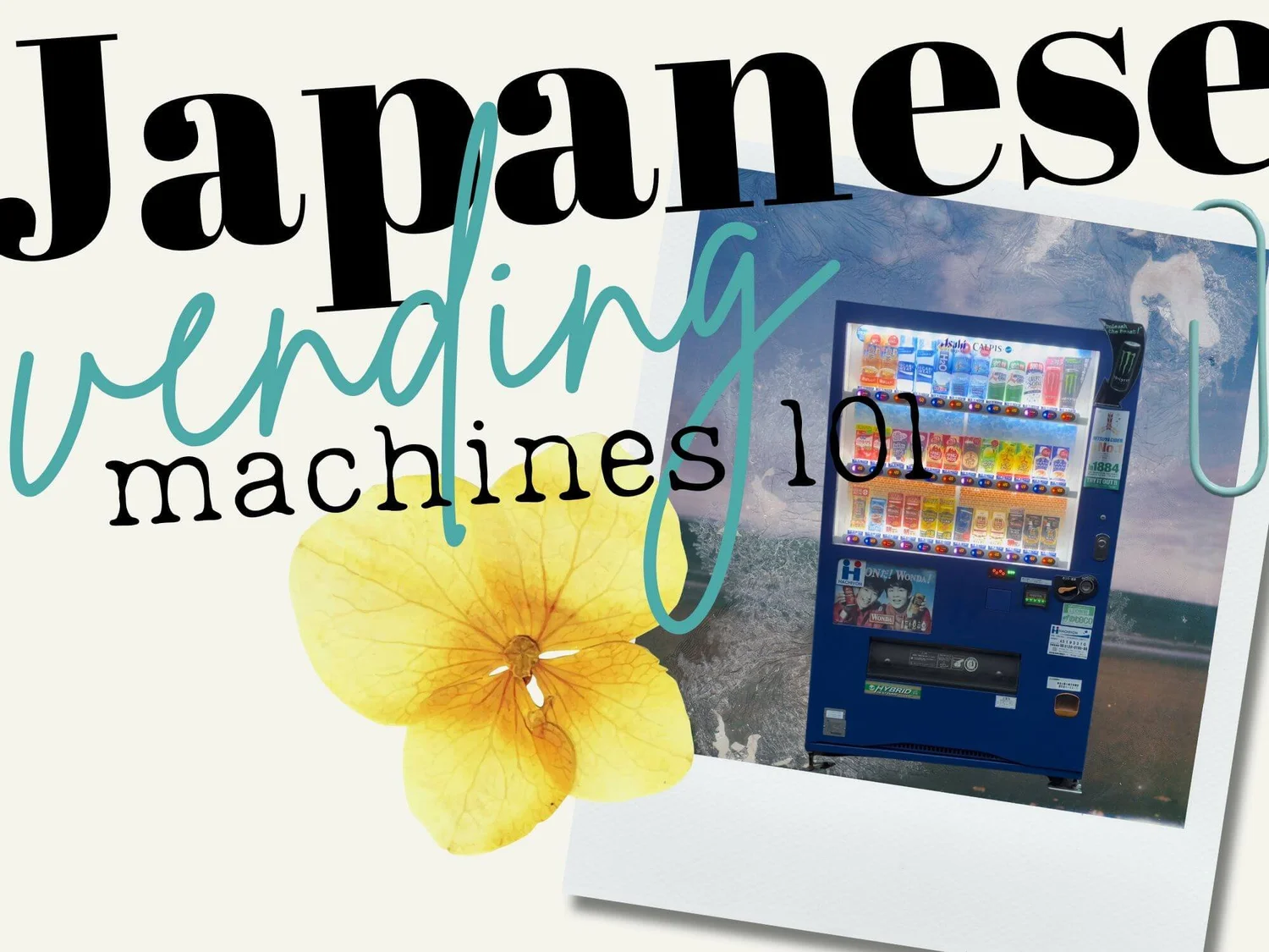 Japan Vending Machines — The Guide (all you need to know)