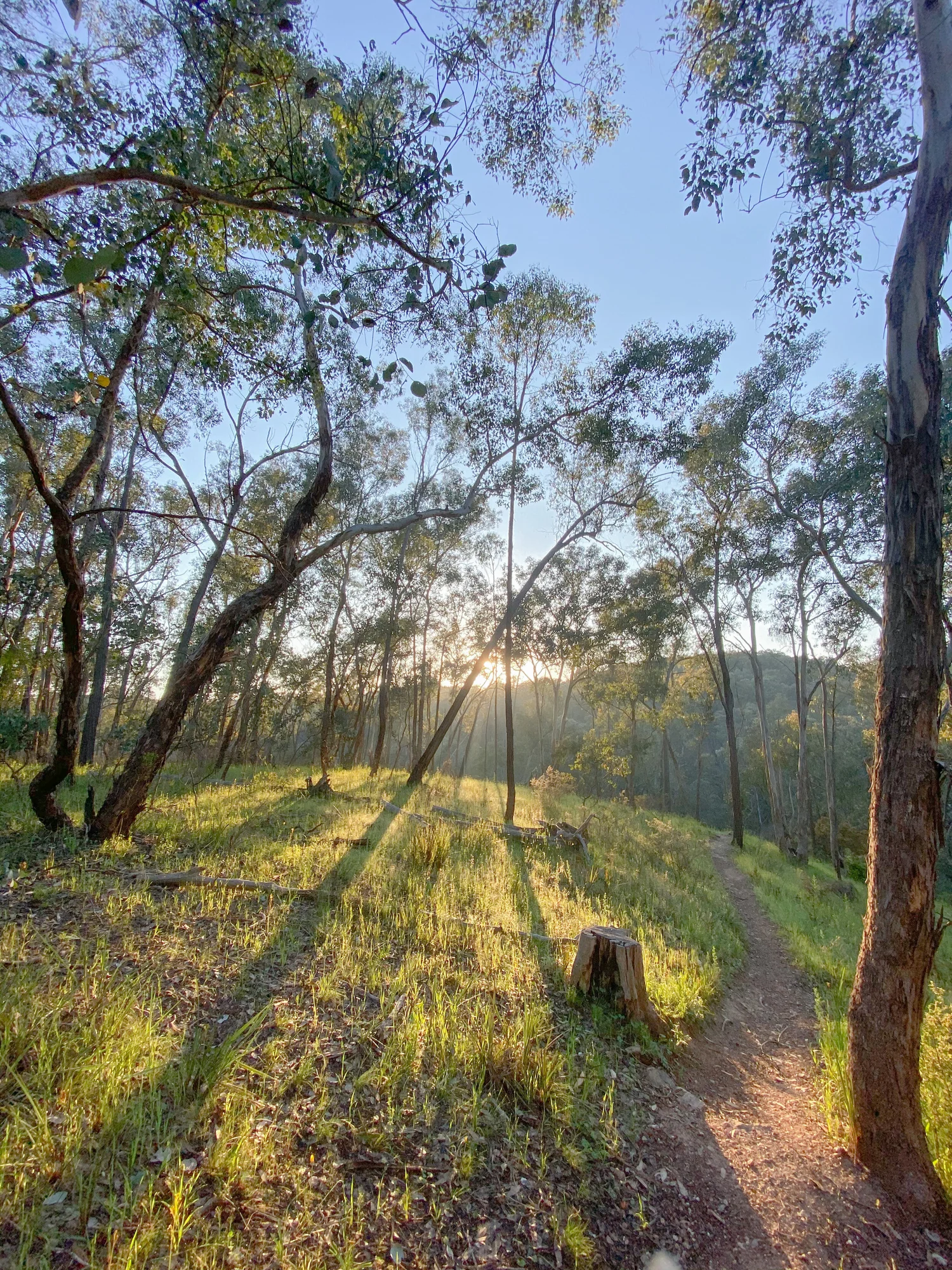 Things to do in Tumut, in the Snowy Valleys — The Monarch Tumut