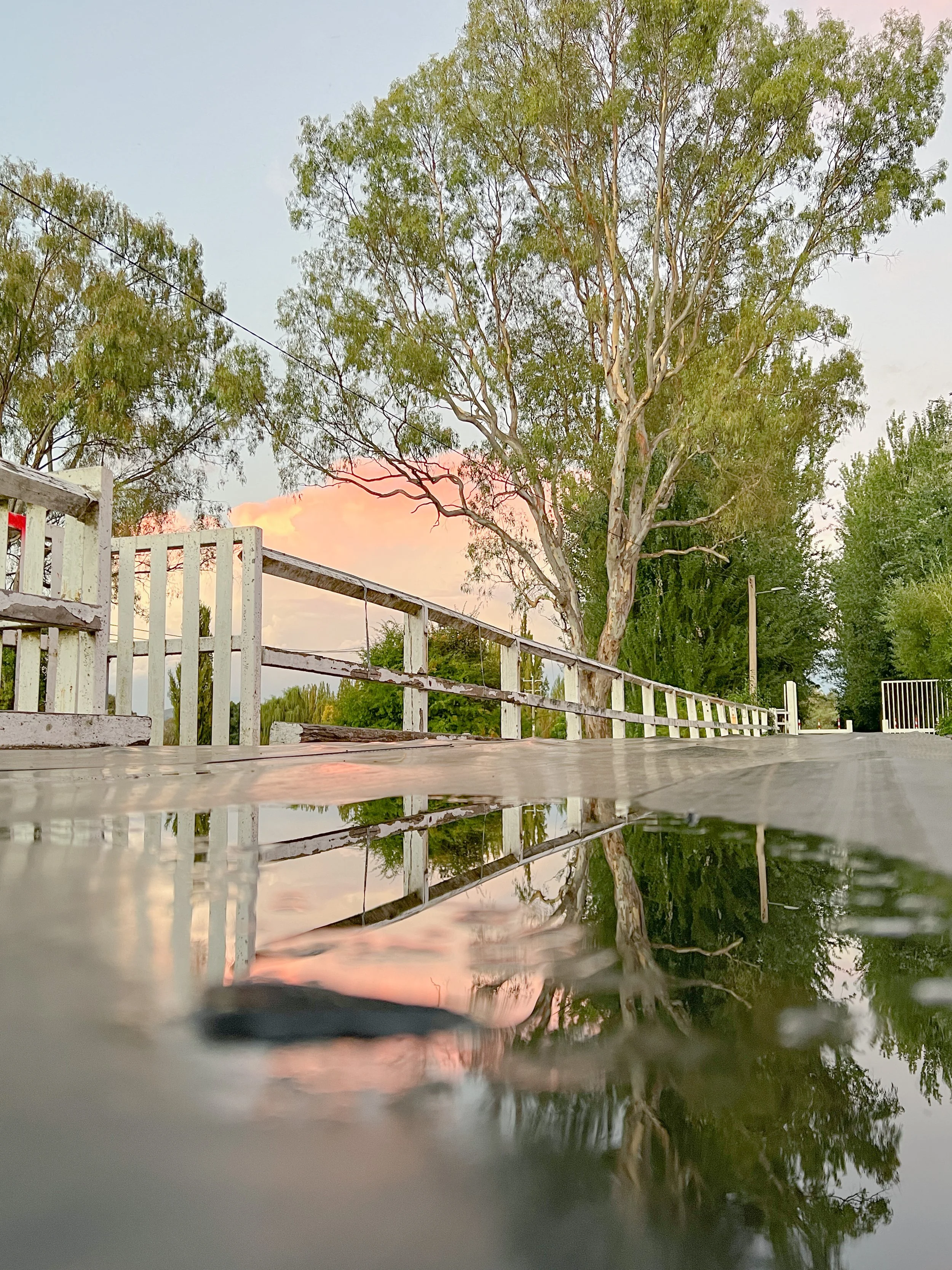 Things to do in Tumut, in the Snowy Valleys — The Monarch Tumut