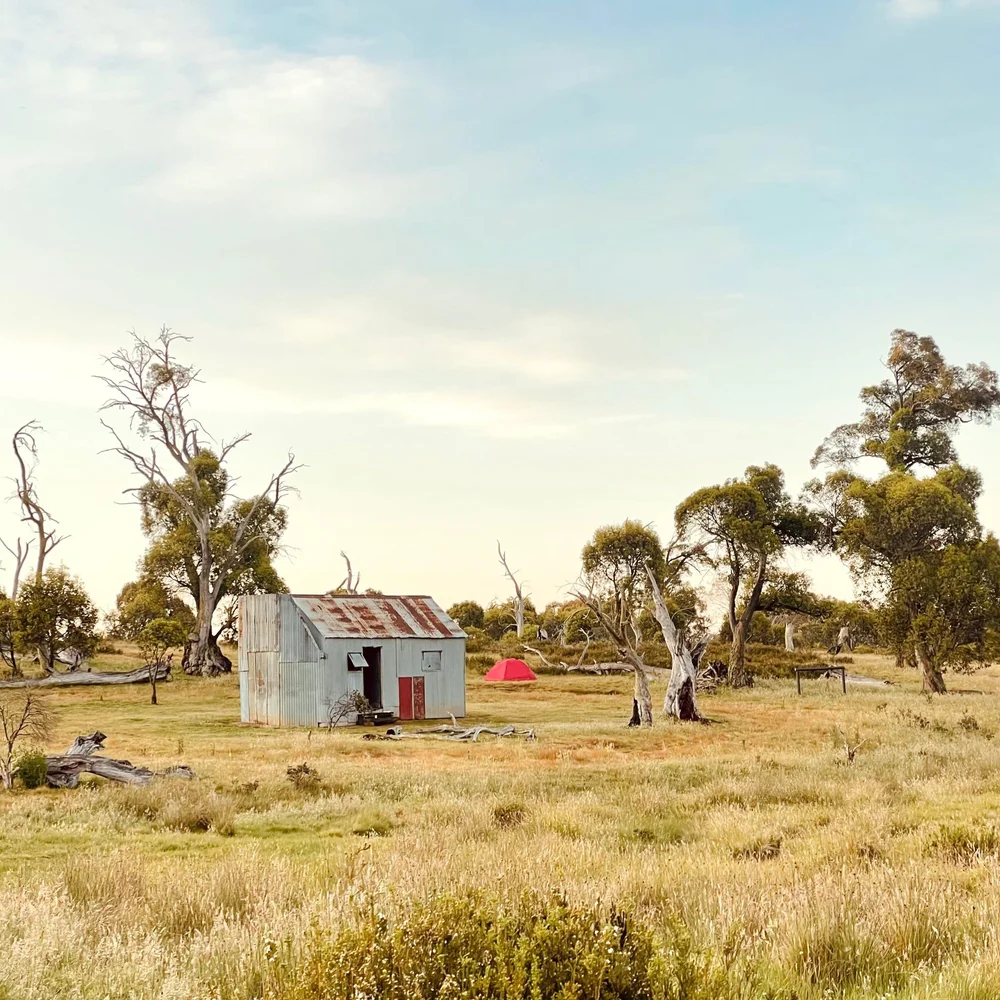 Best Hikes in the Snowy Valleys and Kosciuszko — The Monarch Tumut