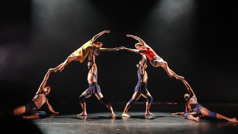 “re:CREATION”, de Pilobolus, se presentará en el Teatre Apolo — Pop ...