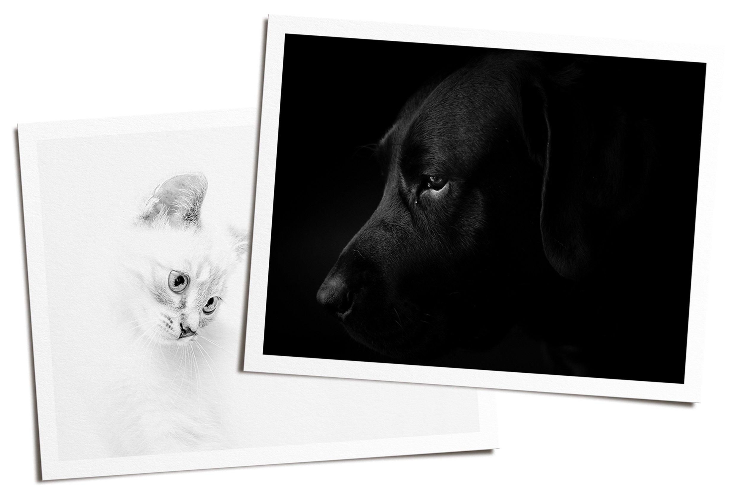 Florian Zellweger — High key & low key