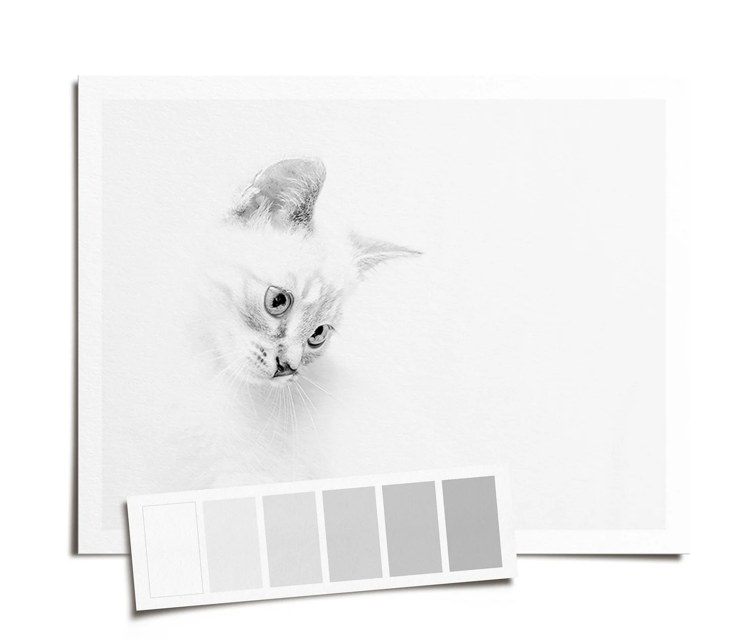 Florian Zellweger — High key & low key