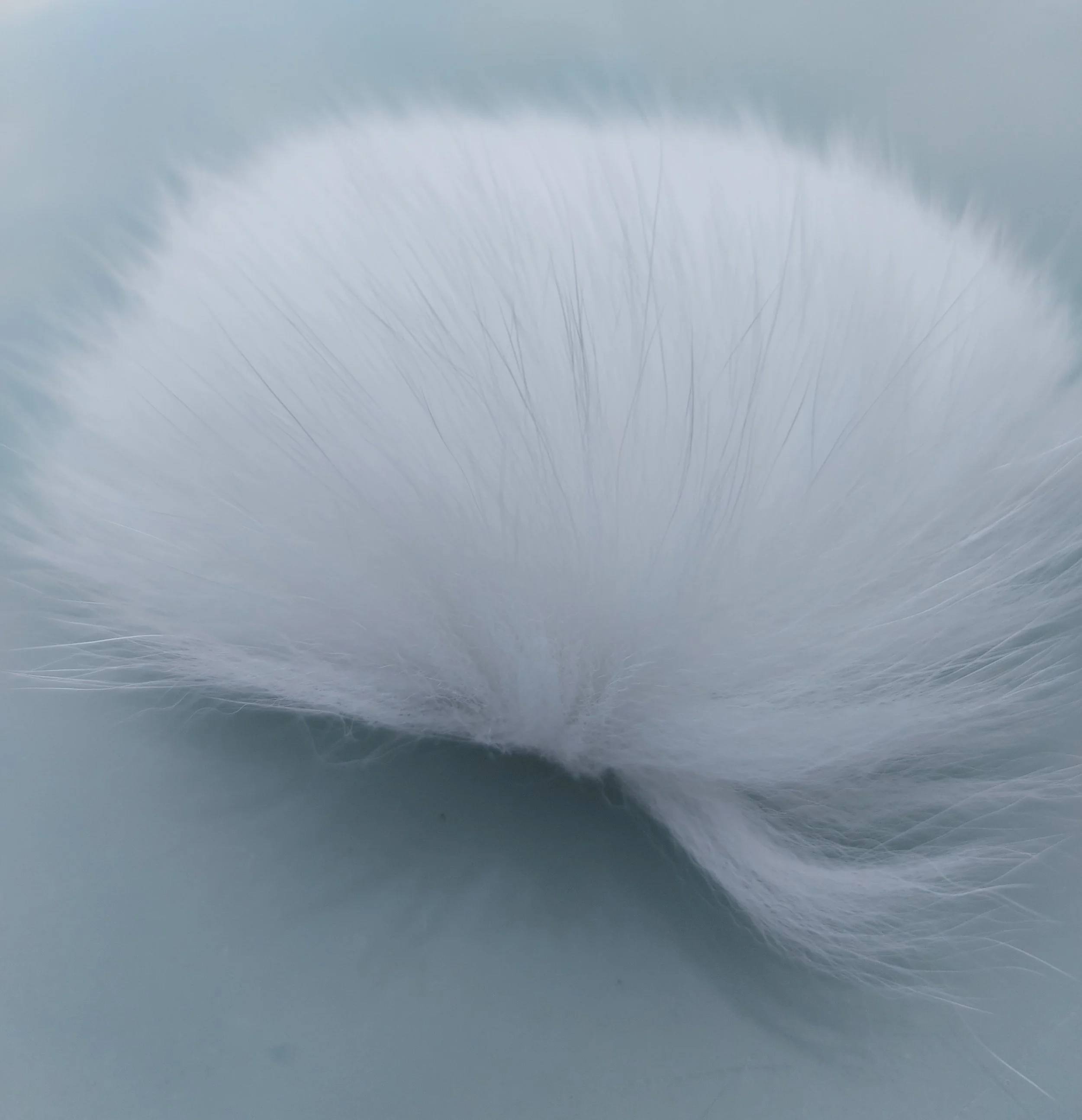 Silver Fox Body Fur — Tweed Flies