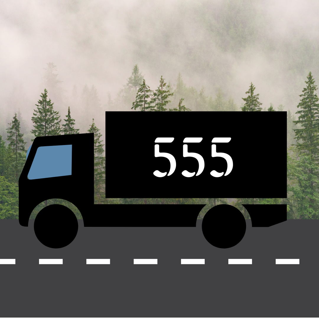 555 Meaning & Manifestation — Intuitive Souls