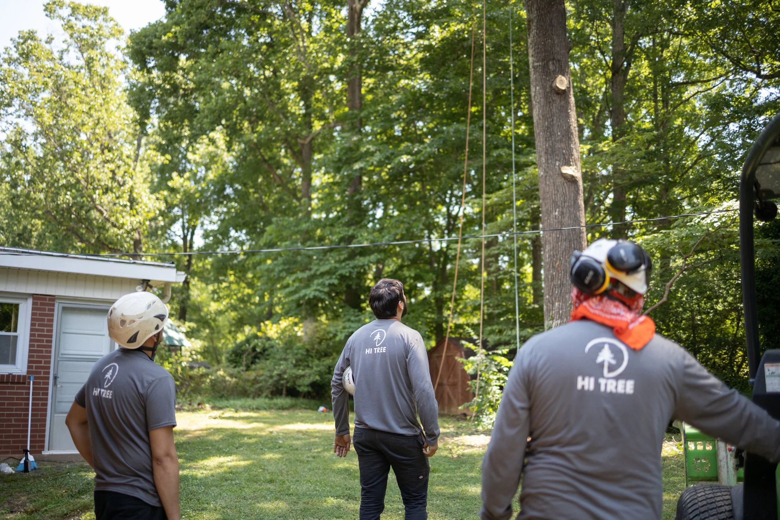 Tree Trimming & Removal Services Concord NC | Hi Tree Service