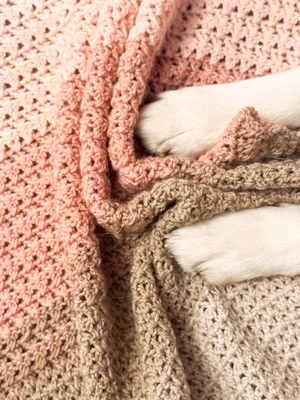 Spring Joy Throw — Whistle and Wool