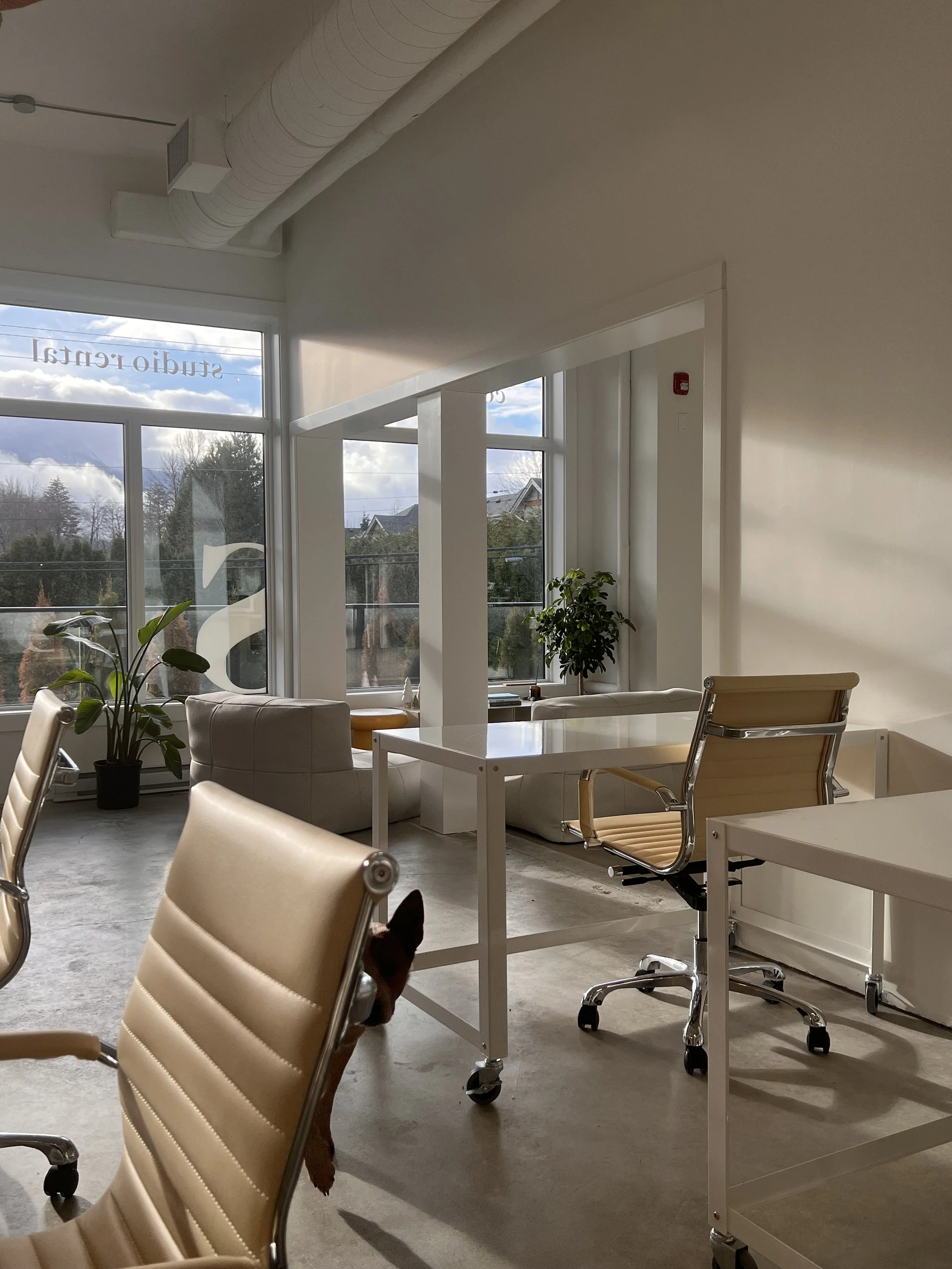 How Holistic Design Can Improve Your Well-Being and Health — Kyla Marie ...
