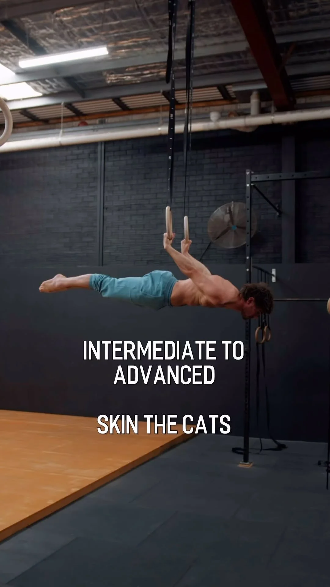 The Movement Collective