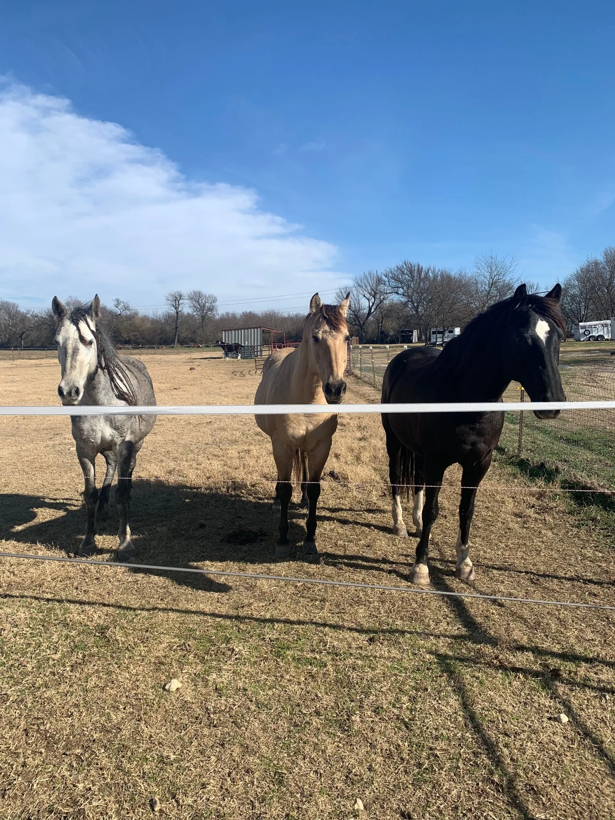 Gallery 1 — Jim-a-Dee Ranch