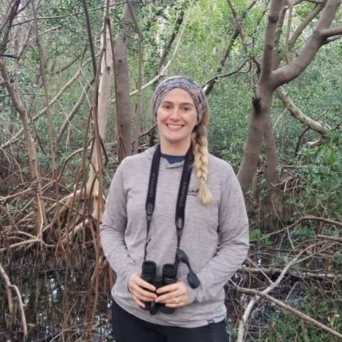 Board of Directors — St. Petersburg Audubon Society