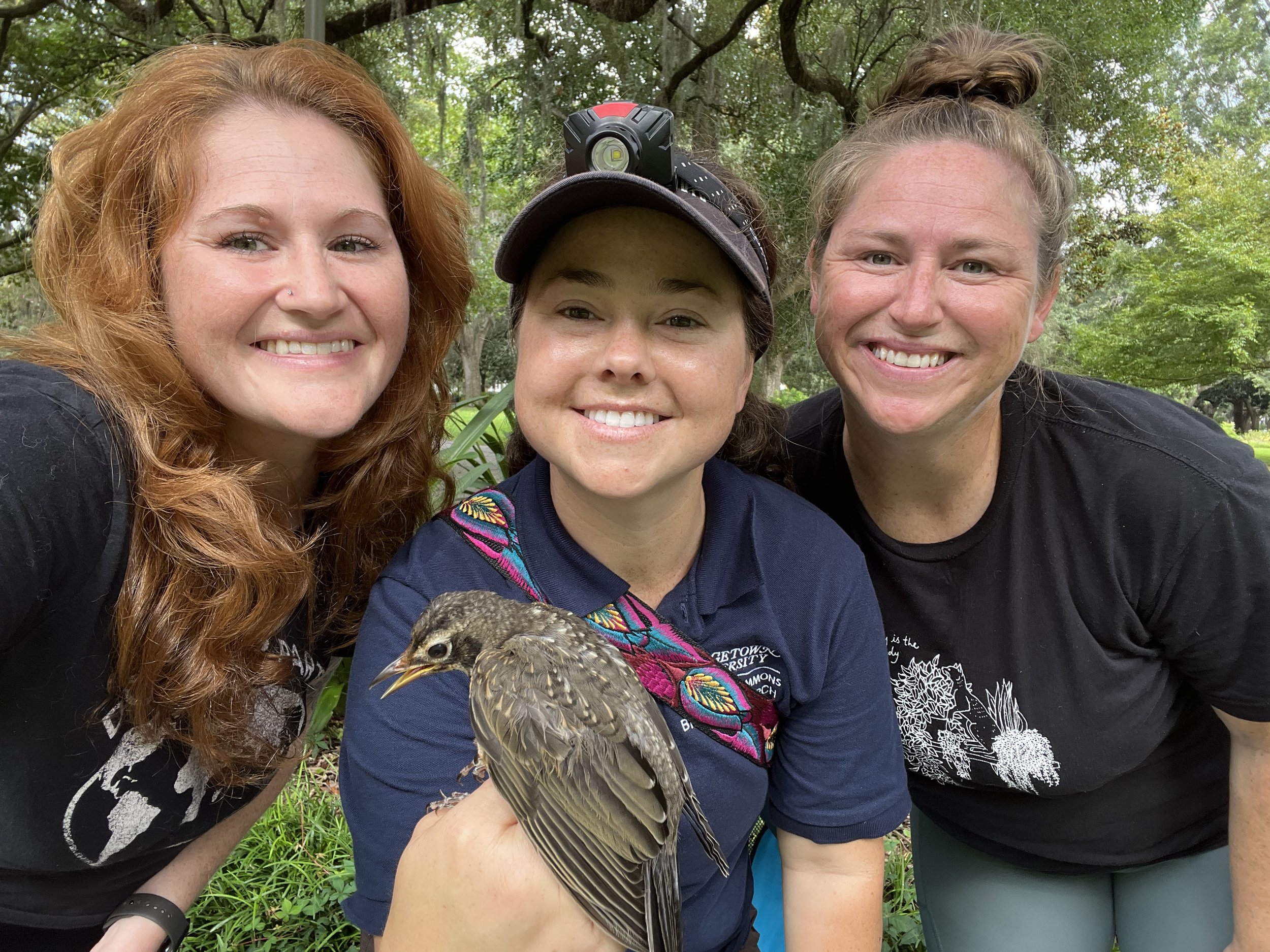Banding American Robins with Emily Williams — St. Petersburg Audubon ...