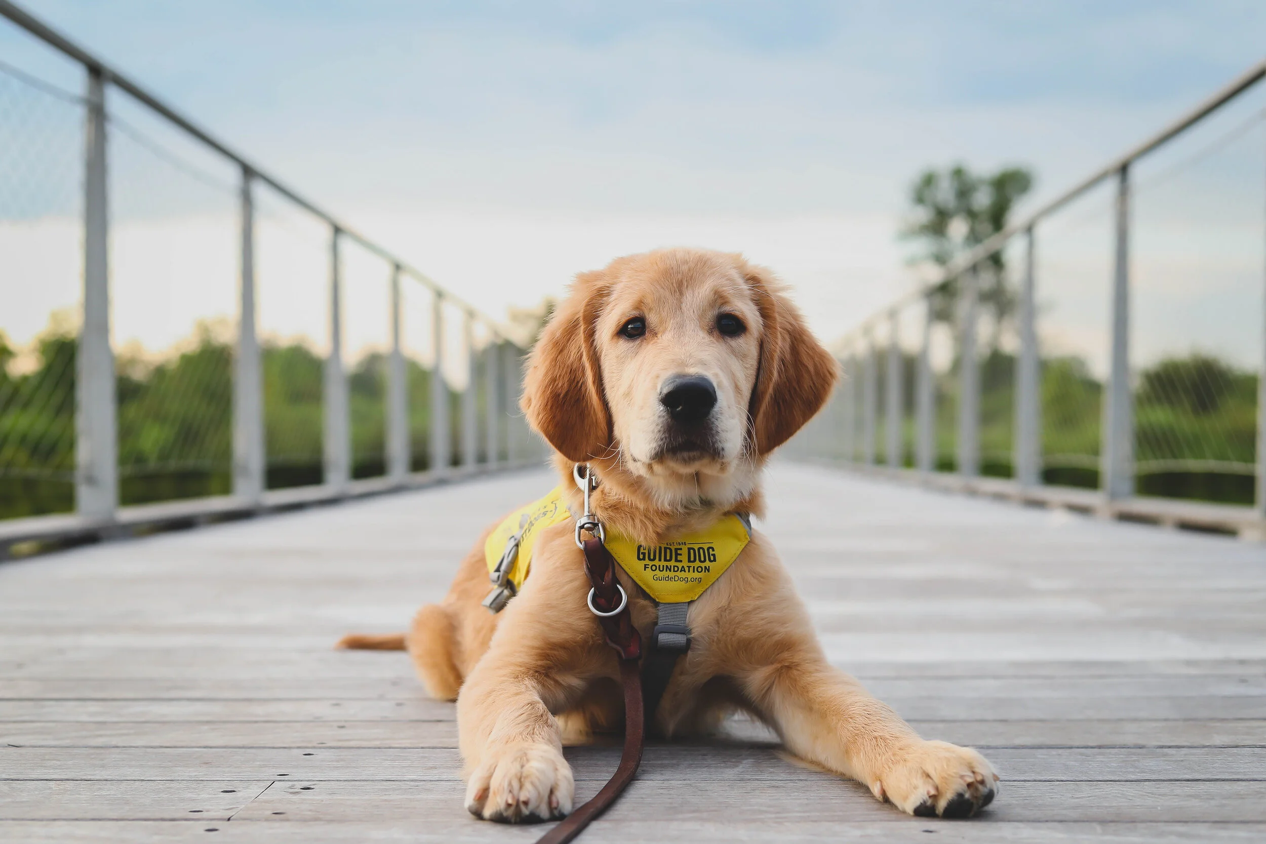 Photography by Hunter Drake