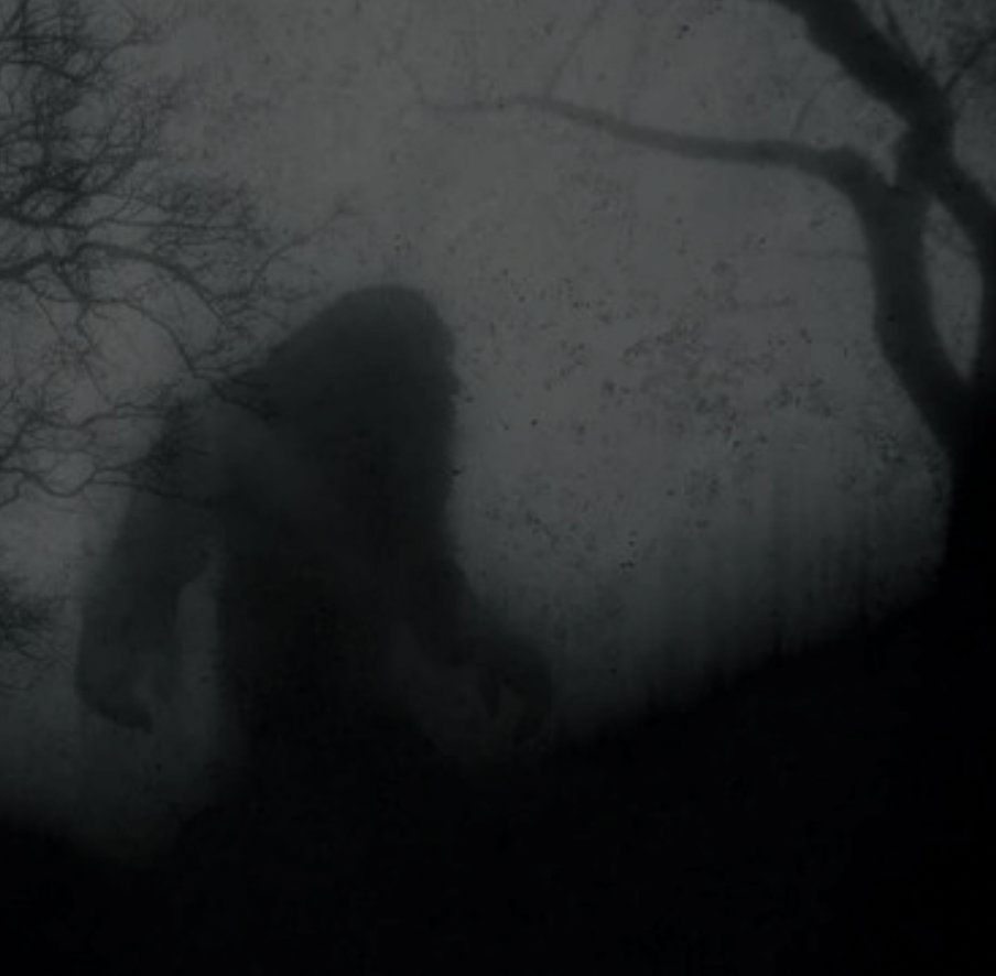 Current Shows — RMITV