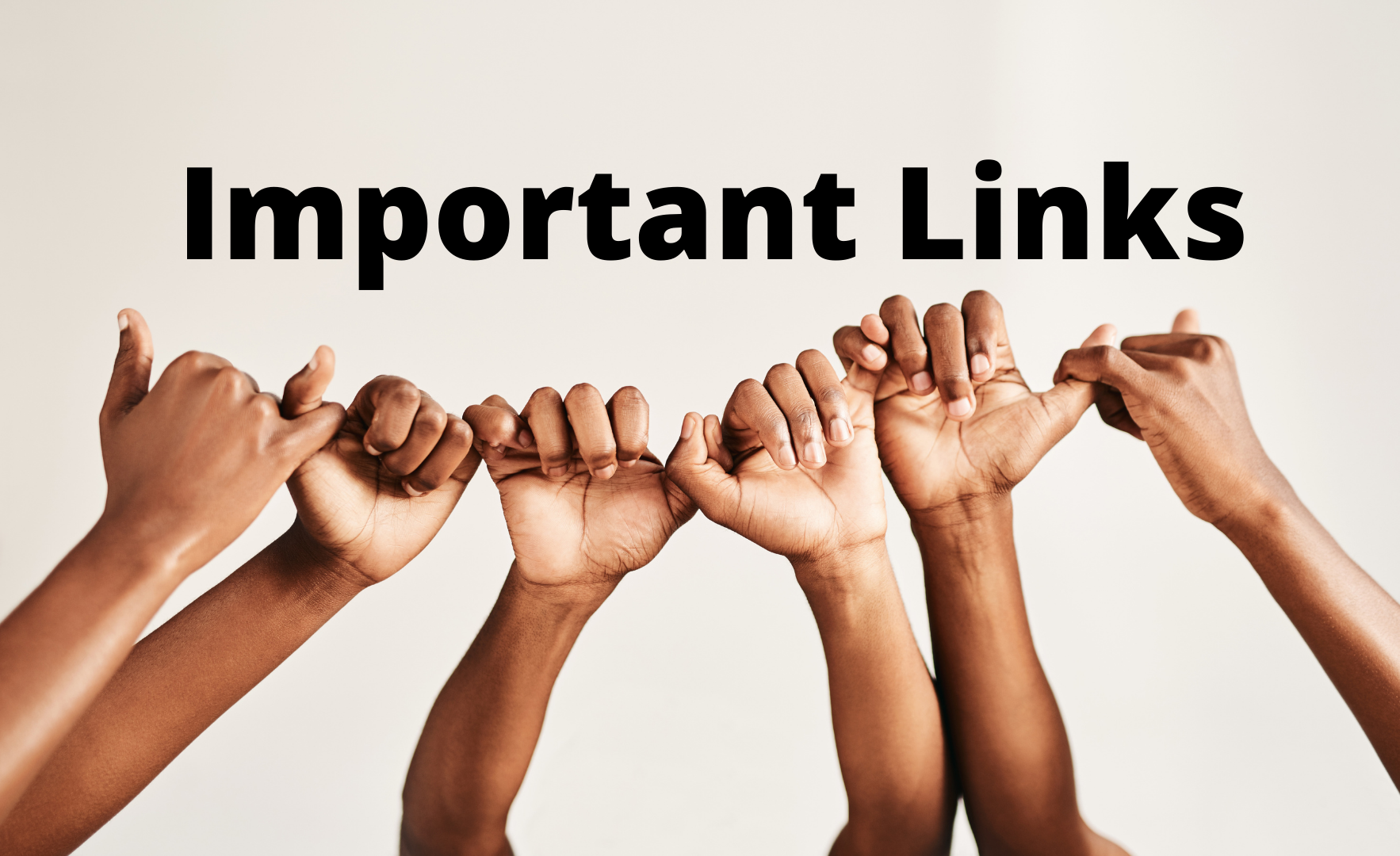 Members — AA South Australia