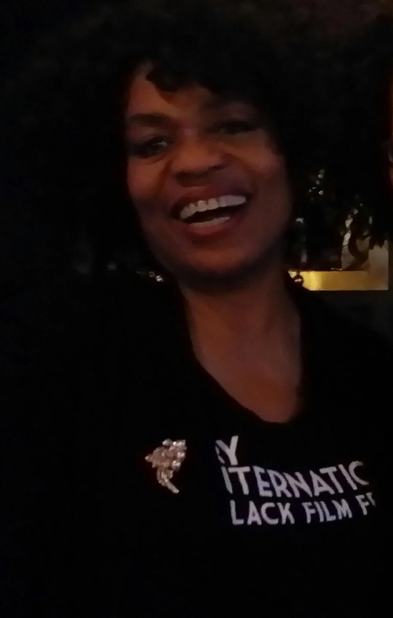 Festival Team — Gary International Black Film Festival