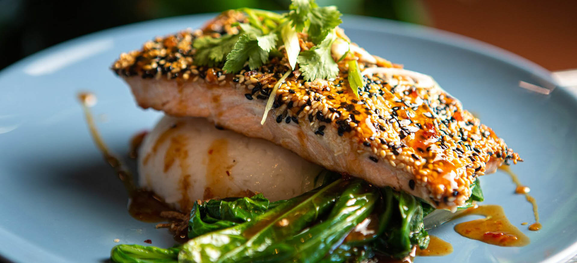 The Manly Hotel, Manly, QLD